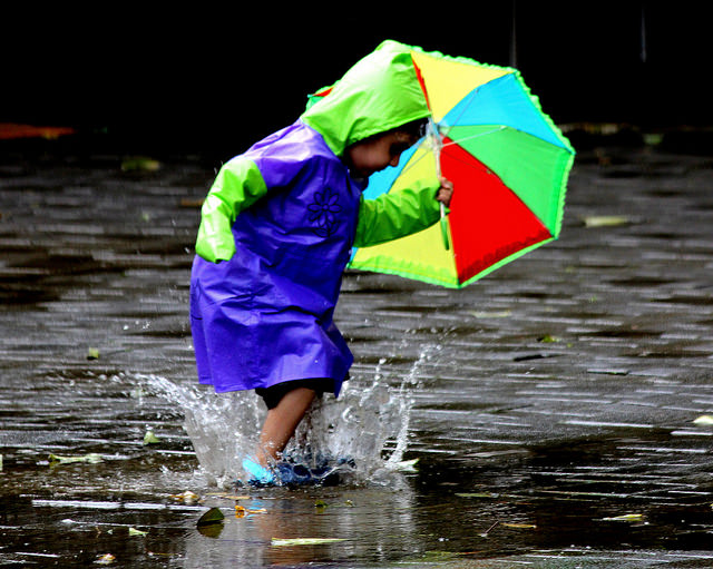 It’s Raining Pictures