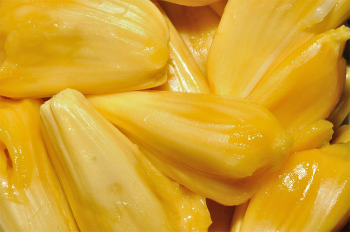 Memoirs of a Jackfruit