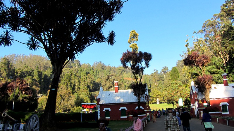 Glimpsing the Serenity of Blue Mountains of Nilgiris
