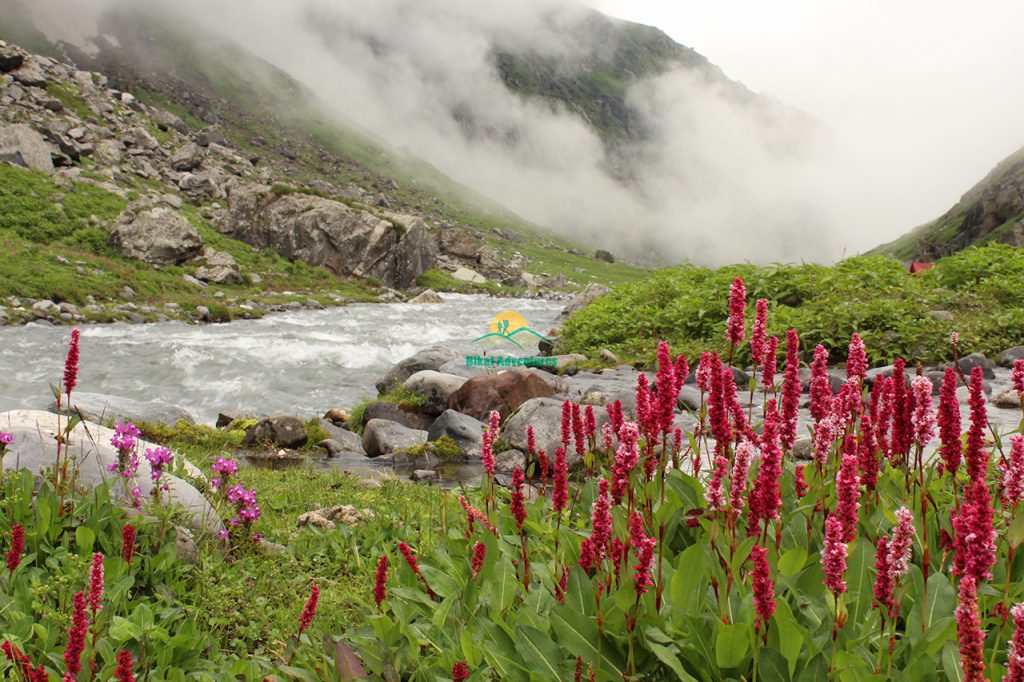 Hampta Pass Trek, Adventurers Escape in the Himalayas
