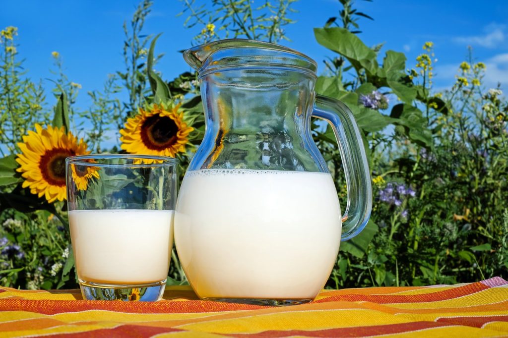Where To Get Best Milk In India Where To Get Best Milk In India