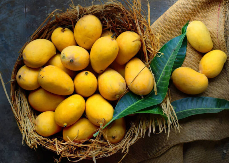 Indian Mango Mania – The Fruit King of Hearts!