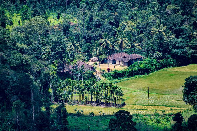 Trip to Coorg: A Love Affair with the ‘Scotland of India’