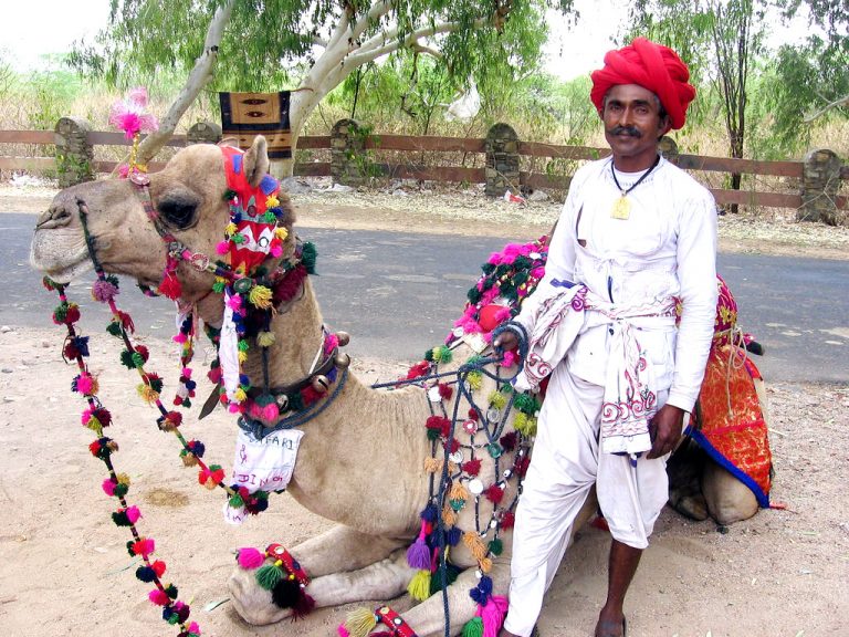 Traditional Dress of Rajasthan: Reflects a Culture that Persisted Since ...