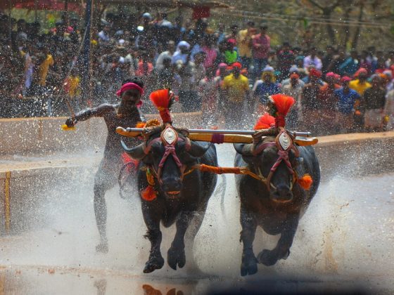 Festivals of Karnataka You Must Experience to Understand Its Culture