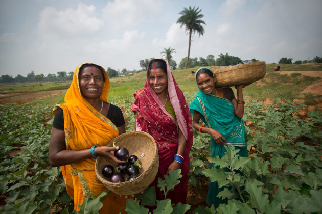 Bihar Culture - Exploring the Rich Tradition, Art, Music, Food and ...