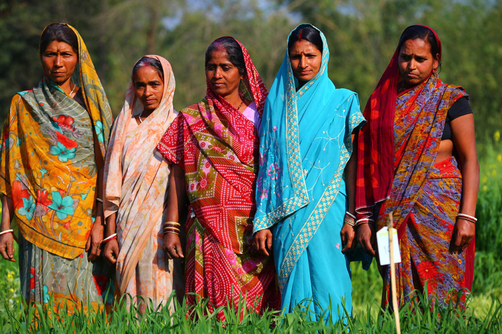 Bihar Culture - Exploring the Rich Tradition, Art, Music, Food and ...