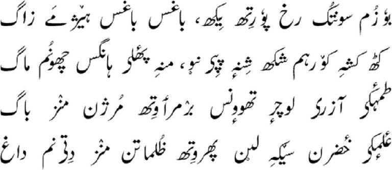 Culture of Kashmir : Exploring the Vibrant Tradition, Art, Music, Food ...