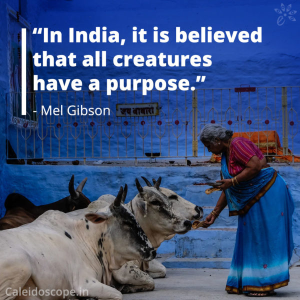 15 Enticing Quotes about Indian Culture that Capture the Charm of the ...