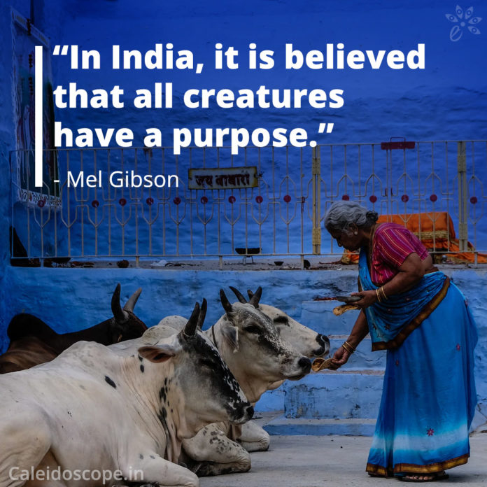 15 Enticing Quotes about Indian Culture that Capture the Charm of the ...