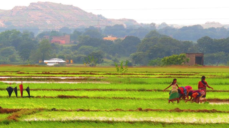 Culture of Jharkhand - The Land of woods