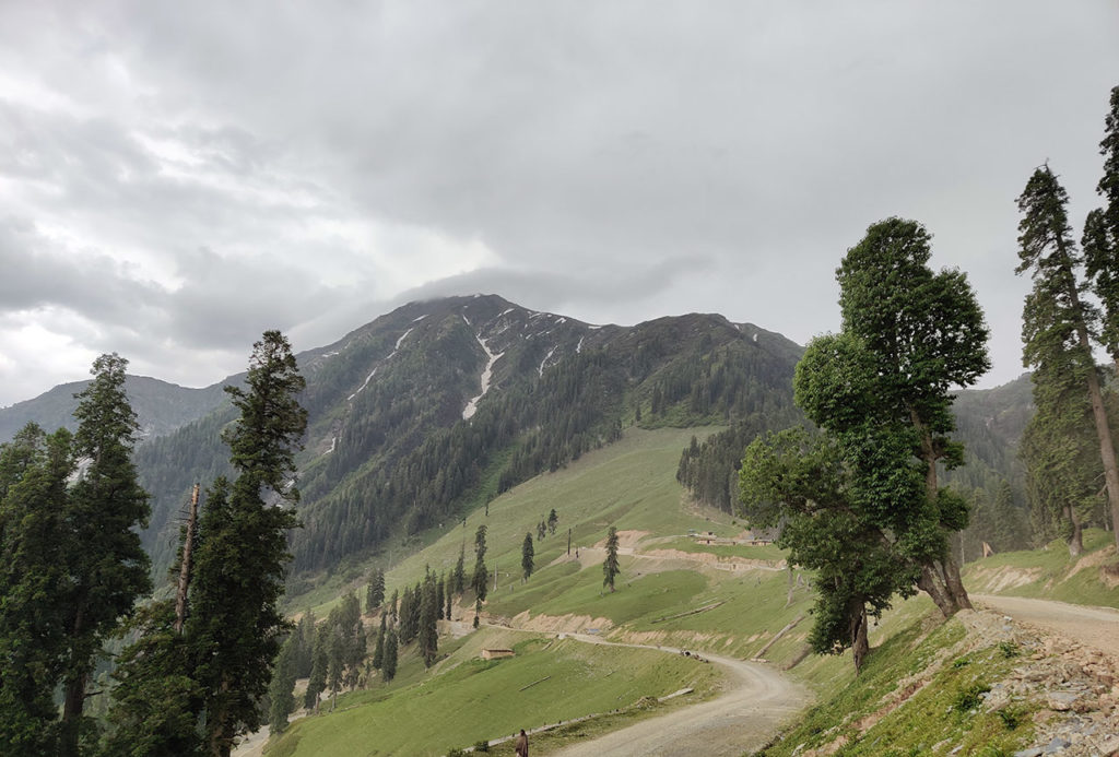 Basohli Paintings - Bold and Beautiful Expressions in Pahari Style