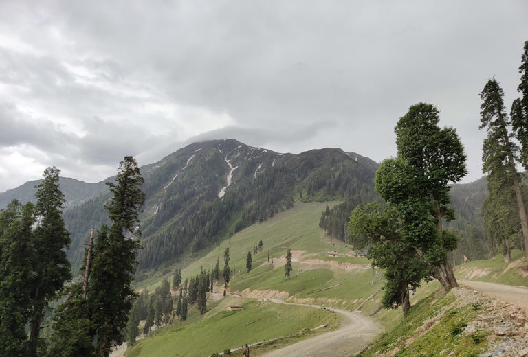 Basohli Paintings - Bold and Beautiful Expressions in Pahari Style