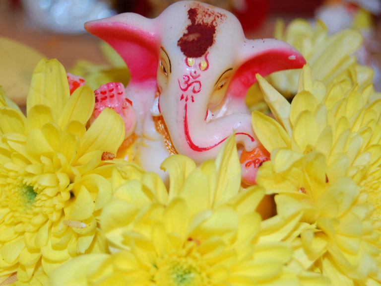 The Importance of Flowers in Indian Culture and Tradition