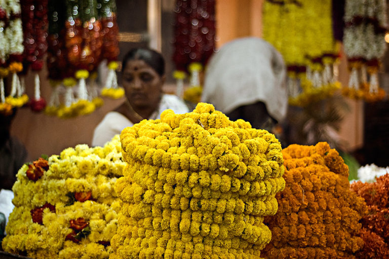 The Importance of Flowers in Indian Culture and Tradition