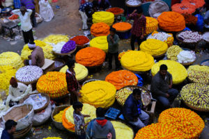 The Importance of Flowers in Indian Culture and Tradition