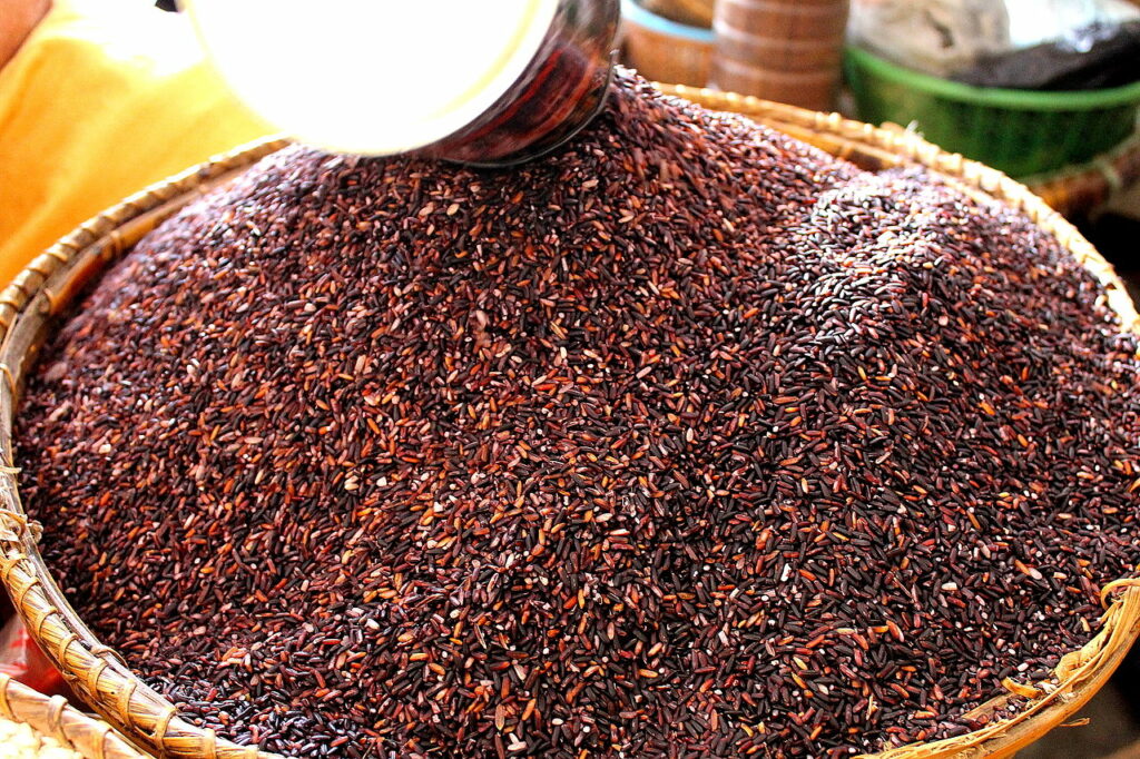 GI Tagged Food Delicacies in India Saving the Native Flavours