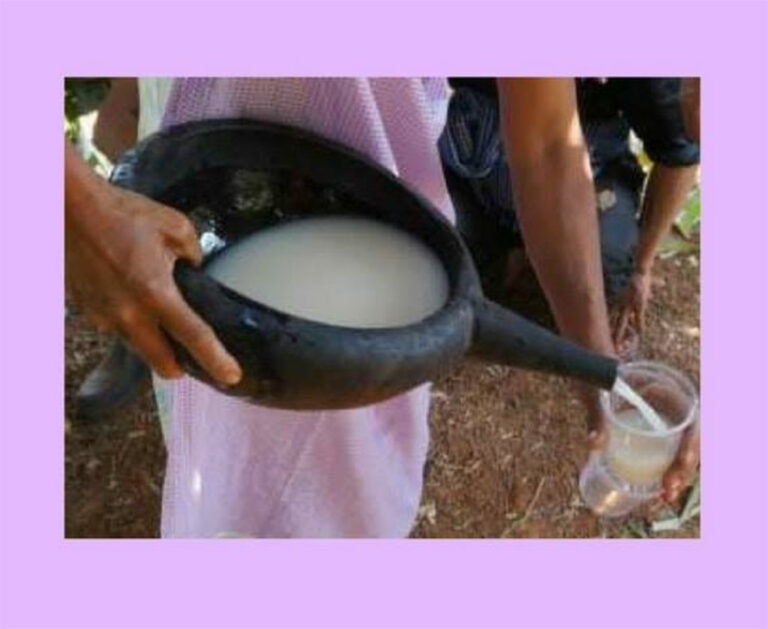 Traditional food of Meghalaya that Tickle Your Taste Buds