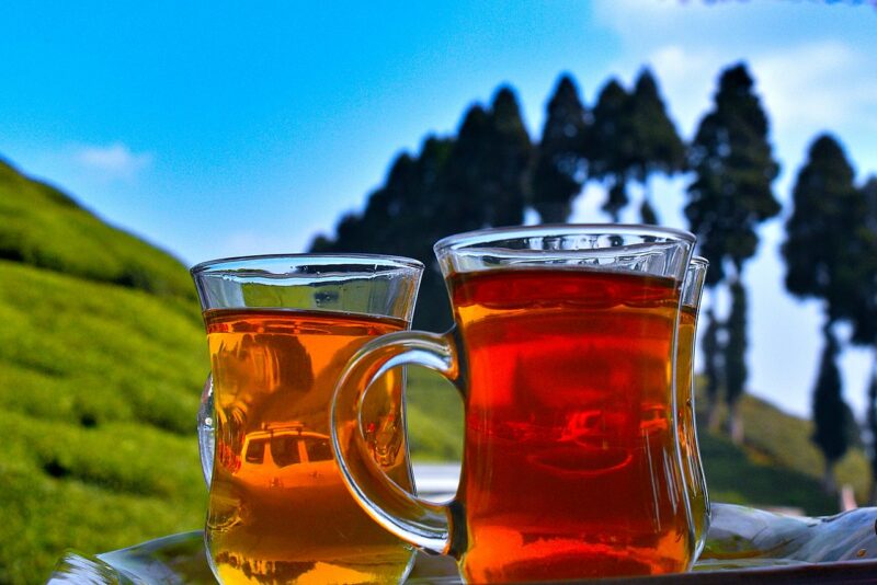 Darjeeling Tea- India's Inaugural GI Tag Holder