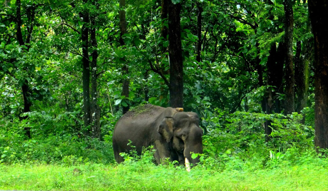 Ten Facts About the Diverse Land of South India