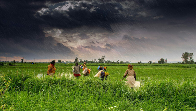 The Cultural Impact of Monsoon in India: Traditions, Arts and Architecture