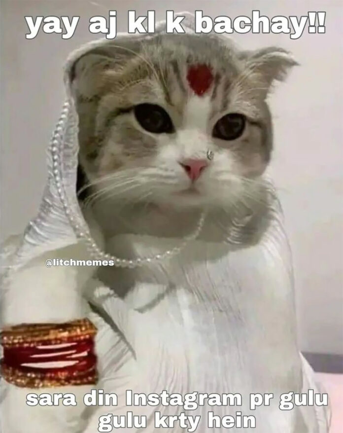 Meme Culture in India: A Vibrant Digital Evolution