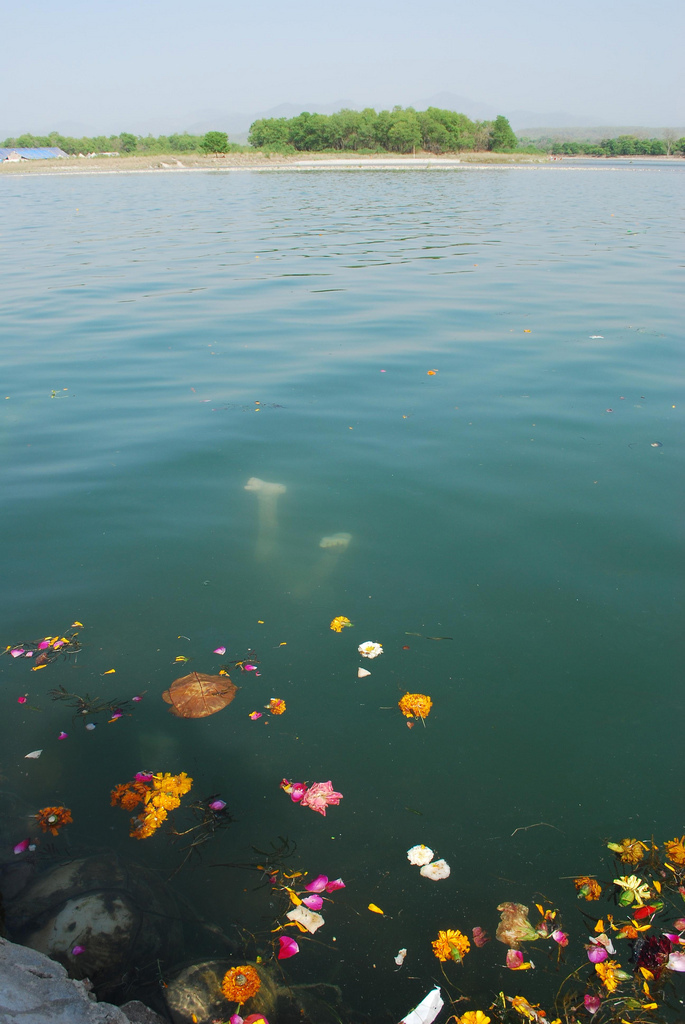 Time to save the Ganga River